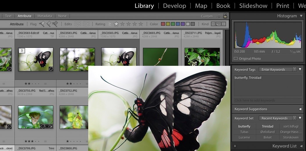 Lightroom Photoshop workshop