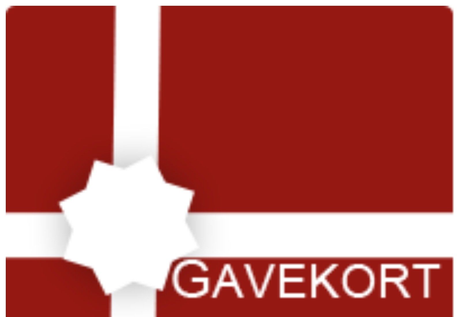 Gavekort 100 kr.
